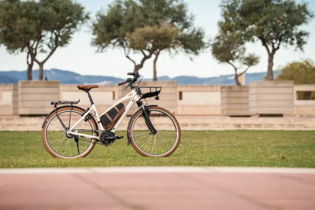 Riese & Müller Cruiser2 Mixte Silent, sensación de vivir | CityBiker.es